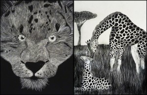 Scratchboard – Julia Sanderl