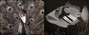 Scratchboard – Julia Sanderl
