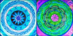 Colored Pencil – Julia Sanderl